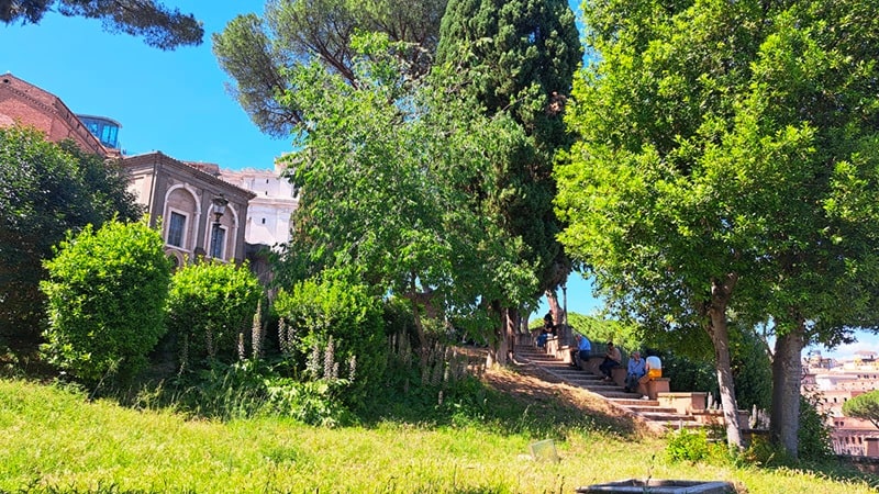 Emergenza climatica: 25 soluzioni nature-based per ridurre le isole di ...